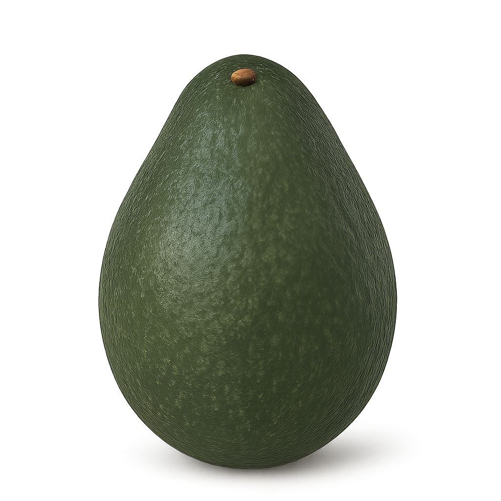 Aguacate Semil 34 – BAYAGRO INTERNACIONAL