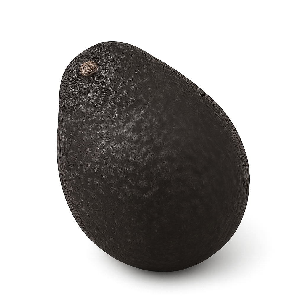 Aguacate Bernerker – BAYAGRO INTERNACIONAL