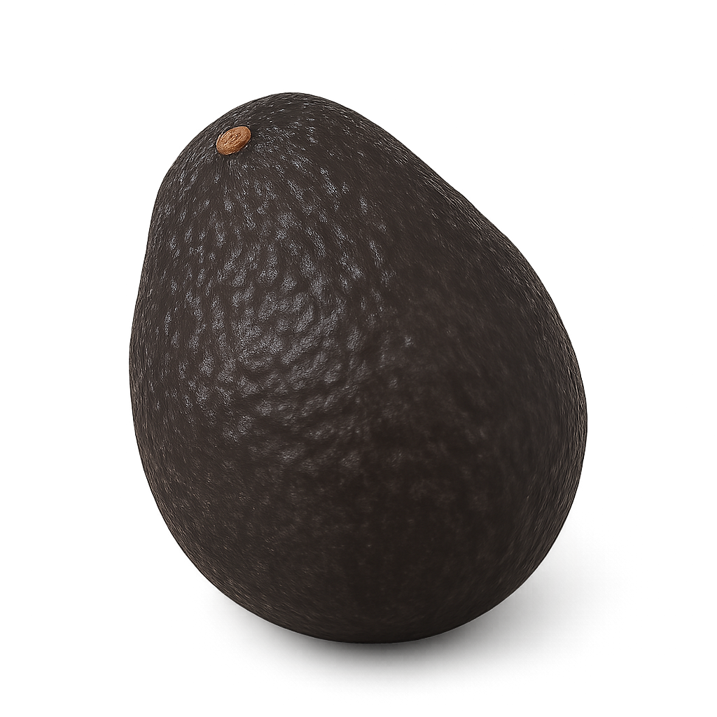 Aguacate Hass – BAYAGRO INTERNACIONAL