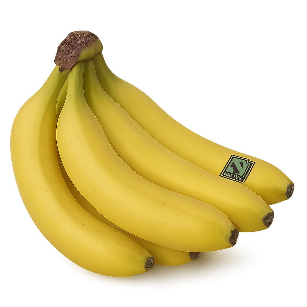 Banana Fair Trade – BAYAGRO INTERNACIONAL