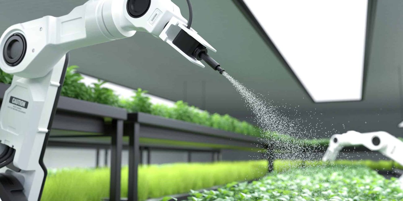 BAYAGRO INTERNACIONAL